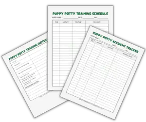 How To Potty Train A Blind Dog or Puppy? - (Complete Guide)